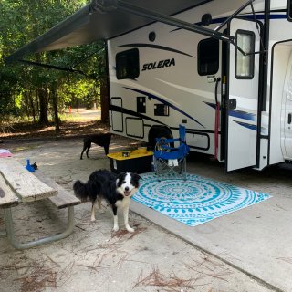 Blythe Island Regional Park Campground - Brunswick, Georgia - RV LIFE ...